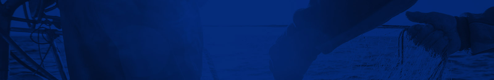sv-banner - WAFIC