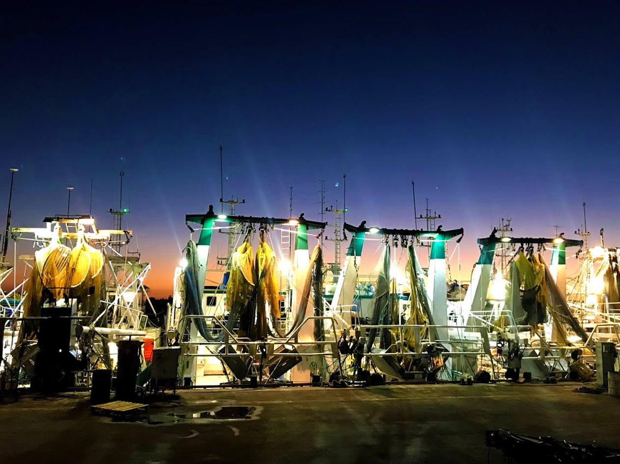 WAFIC Northern Tour Highlights - WAFIC